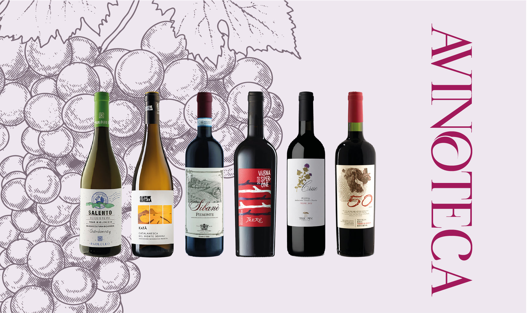 AVINA - Vino Italiano